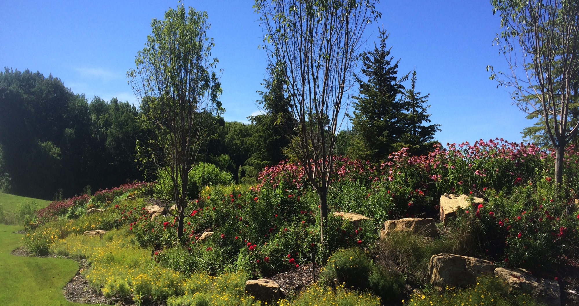 Residential Tree and Landscaping Services